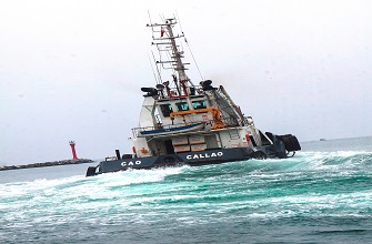 Home Page [www.petranso.com]